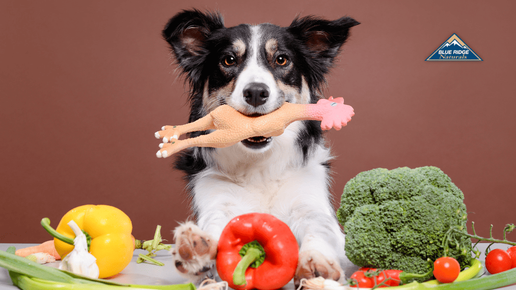 Vegan Dog Treats - Options For Your Furry Friend – Blue Ridge Naturals